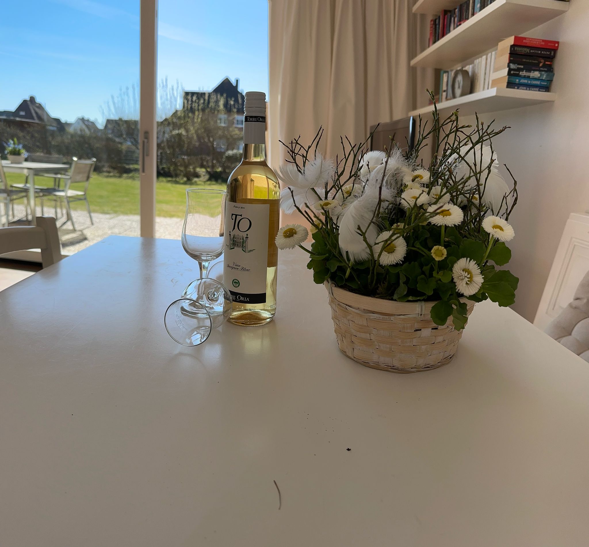 Seehund - HomeService Sylt